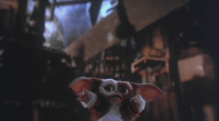 Gremlins GIF - Find & Share on GIPHY