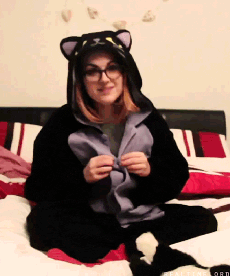 Cutie Cats S Find And Share On Giphy