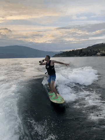 Surfs Up Surfing GIF by TheMacnabs - Find & Share on GIPHY