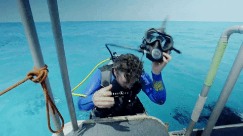 Shark Week Immersion GIF by Shark Week - Find & Share on GIPHY