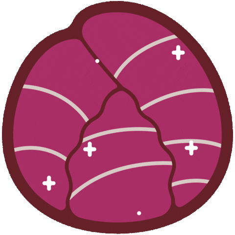 Red Cabbage Food Sticker by FarmBot for iOS & Android | GIPHY