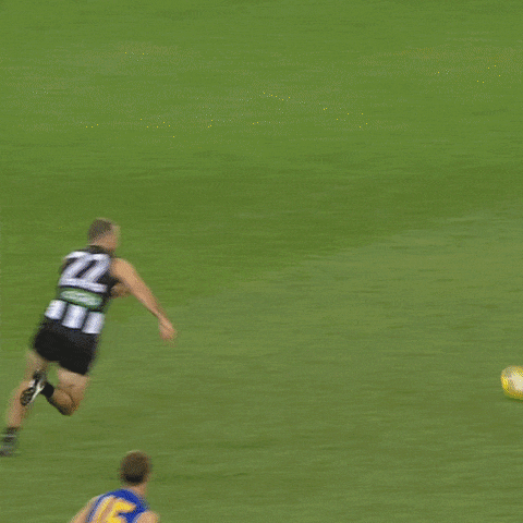 CollingwoodFC GIF - Find & Share on GIPHY