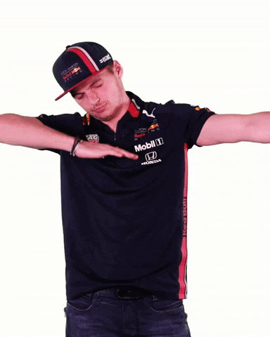 Racing Driver Car GIF by Red Bull Racing - Find & Share on GIPHY