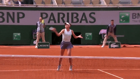 French Open Tennis GIF by Roland-Garros - Find & Share on GIPHY