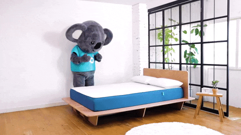 Koala Mattress GIF - Find & Share on GIPHY