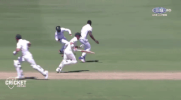 Cricket Running GIFs - Find & Share on GIPHY