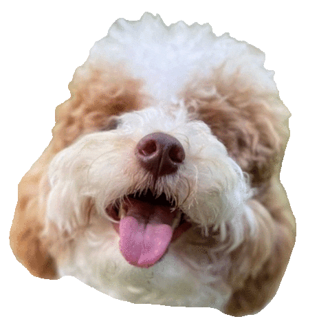 Happy Dog Sticker for iOS & Android | GIPHY