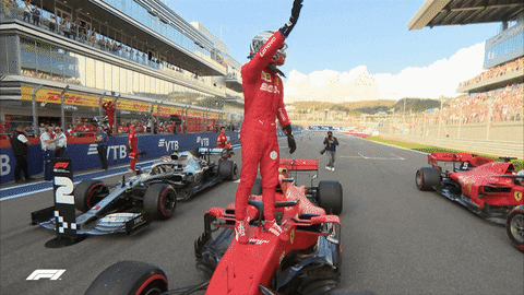 Happy Fans GIF by Formula 1 - Find & Share on GIPHY