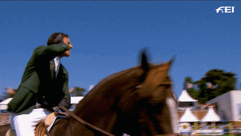 Happy Come On GIF by FEI Global - Find & Share on GIPHY