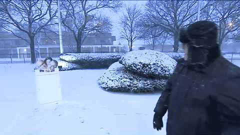 Sledding Dean Richards GIF by WGN Morning News - Find & Share on GIPHY