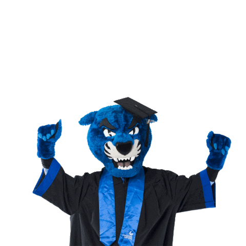 Congrats Pounce Sticker by Georgia State University for iOS & Android ...