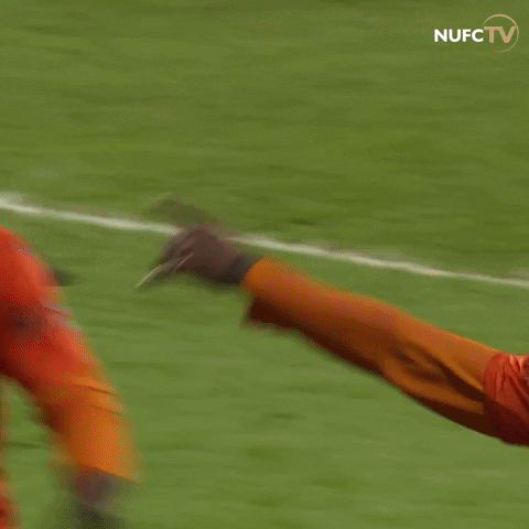 Newcastle United Lazaro GIF by Newcastle United Football Club - Find ...