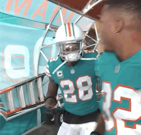Bobby Mccain Dance GIF by Miami Dolphins - Find & Share on GIPHY