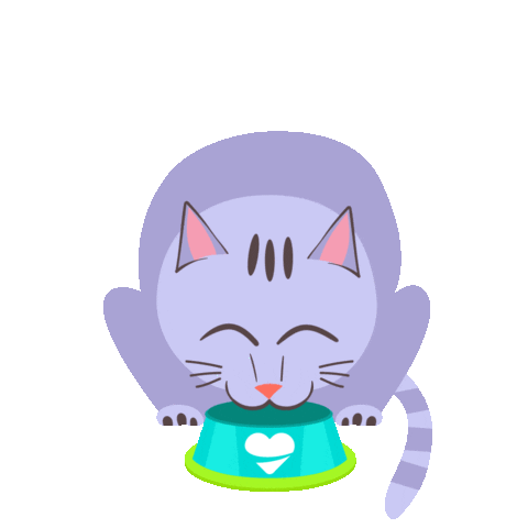 Cat Eating Sticker by dmbeauty for iOS & Android | GIPHY