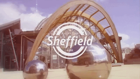 Sheffield Foodfestival GIF by DeeJayOne - Find & Share on GIPHY