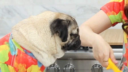 Best Friend Cooking GIF by Rosanna Pansino - Find & Share on GIPHY