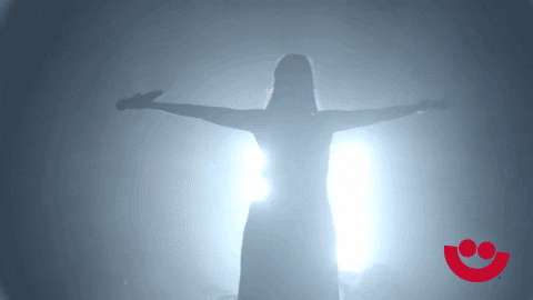 Music Festival GIF by Summerfest - Find & Share on GIPHY