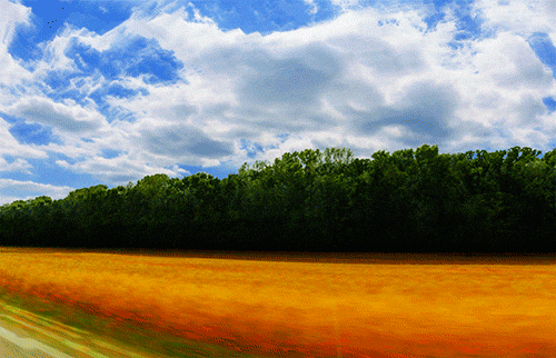 Sky Trees GIF - Find & Share on GIPHY