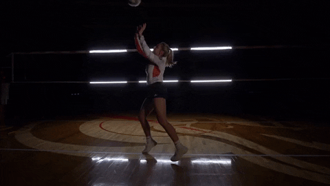 MSUM Dragons GIF - Find & Share on GIPHY