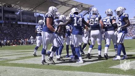 Indianapolis Colts Football GIF by NFL - Find & Share on GIPHY