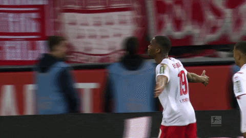 1 Fc Cologne Football GIF by 1. FC Köln - Find & Share on GIPHY