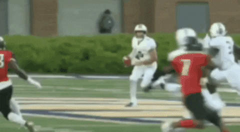 Football Touchdown GIF by JMUDukes - Find & Share on GIPHY