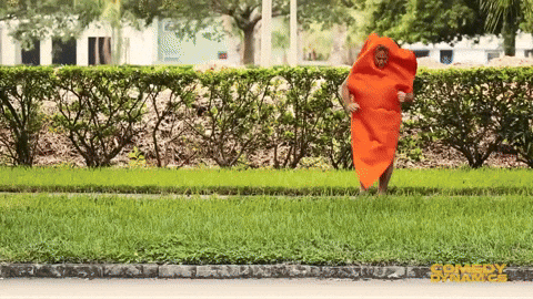 Dance Carrot GIF by Comedy Dynamics - Find & Share on GIPHY