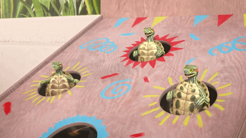 Happy Turtles GIF by MightyMike - Find & Share on GIPHY