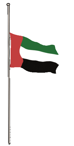 Flag Day Uae Sticker for iOS & Android | GIPHY