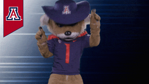 University Of Arizona GIF by College Colors Day - Find & Share on GIPHY
