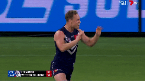 Brandonmatera GIF by Fremantle Dockers - Find & Share on GIPHY