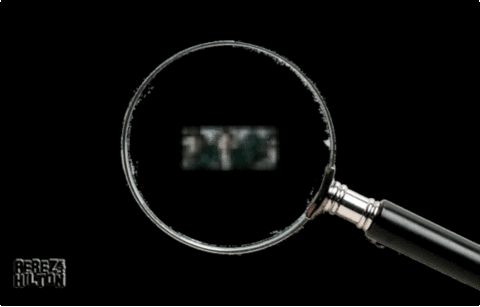 Man With Magnifying Glass GIFs - Find & Share on GIPHY