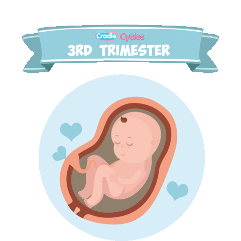 New Life Family Sticker by Cycles Baby for iOS & Android | GIPHY