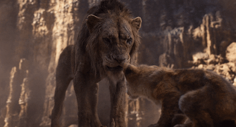 Scar GIF by Walt Disney Studios - Find & Share on GIPHY
