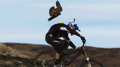 Extreme Animated GIF