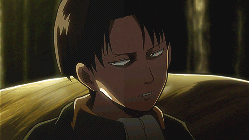 Levi GIF - Find & Share on GIPHY