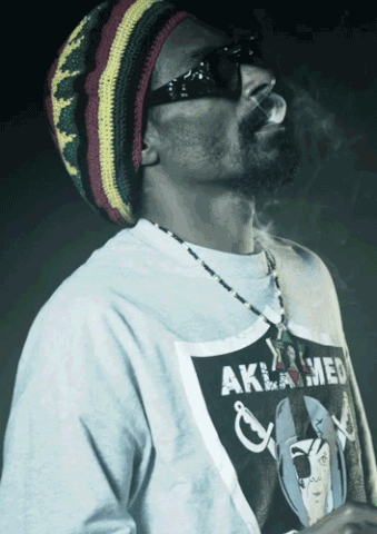 Rap Music GIF - Find & Share on GIPHY