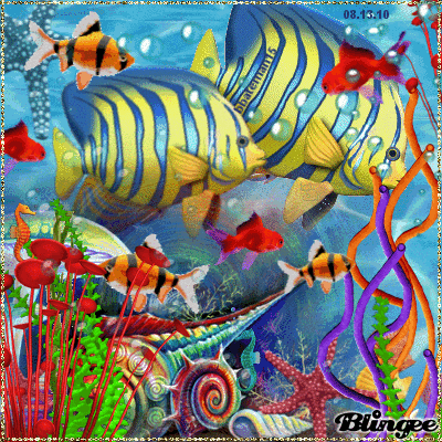 Sea Creatures GIF - Find & Share on GIPHY