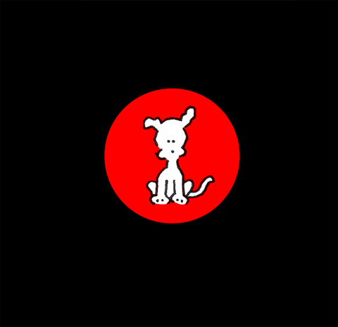 Chippy the Dog GIF - Find & Share on GIPHY