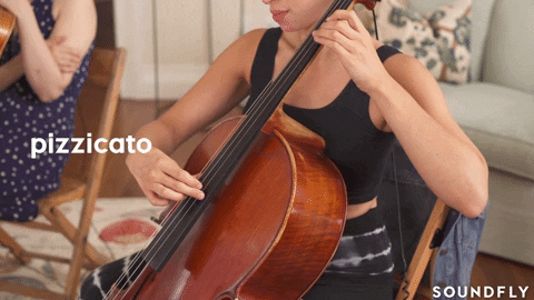 Composition Cello GIF by Soundfly - Find & Share on GIPHY
