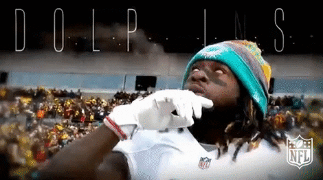 Miami Dolphins Football GIF by NFL - Find & Share on GIPHY
