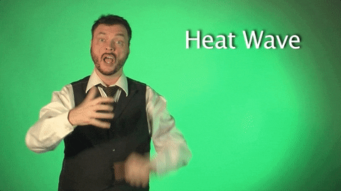 Heat Wave Asl GIF by Sign with Robert - Find & Share on GIPHY