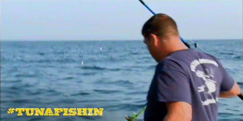 Wicked Tuna Fishing GIF by National Geographic Channel - Find & Share ...