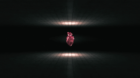 Loop Heart GIF by wilbrand - Find & Share on GIPHY