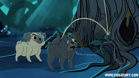 Scared Dogs GIF by Pugatory - Find & Share on GIPHY