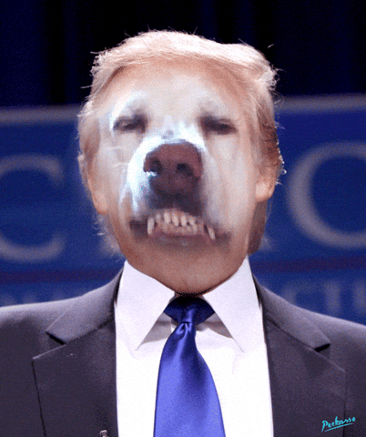 Humor Politics GIF by PEEKASSO - Find & Share on GIPHY