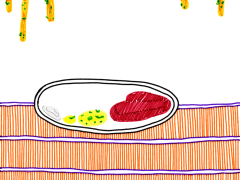 Make It Rain Animation GIF by ezgi korba - Find & Share on GIPHY