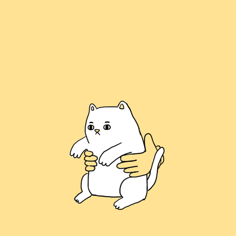 Cat Stop GIF by Percolate Galactic - Find & Share on GIPHY