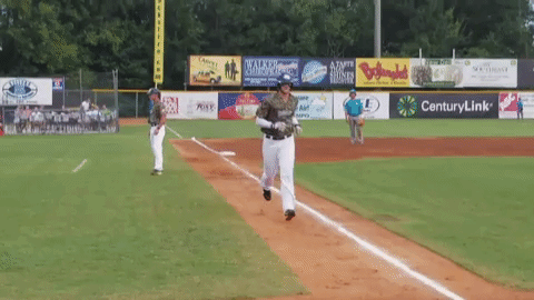 Home Run Baseball GIF - Find & Share on GIPHY