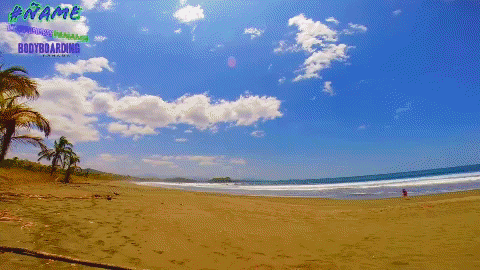 Sport Beach GIF by Bodyboarding Panama - Find & Share on GIPHY